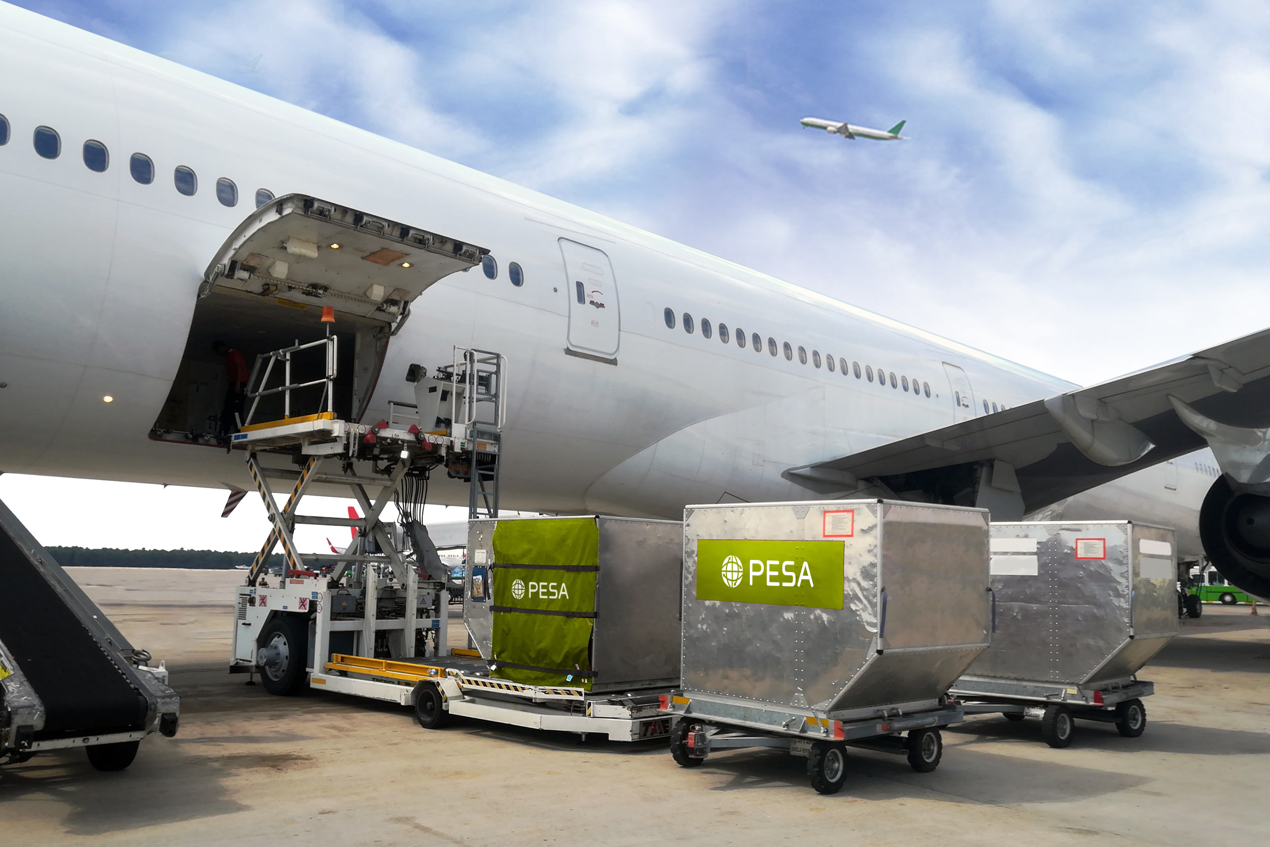 Export customs clearance - PESA